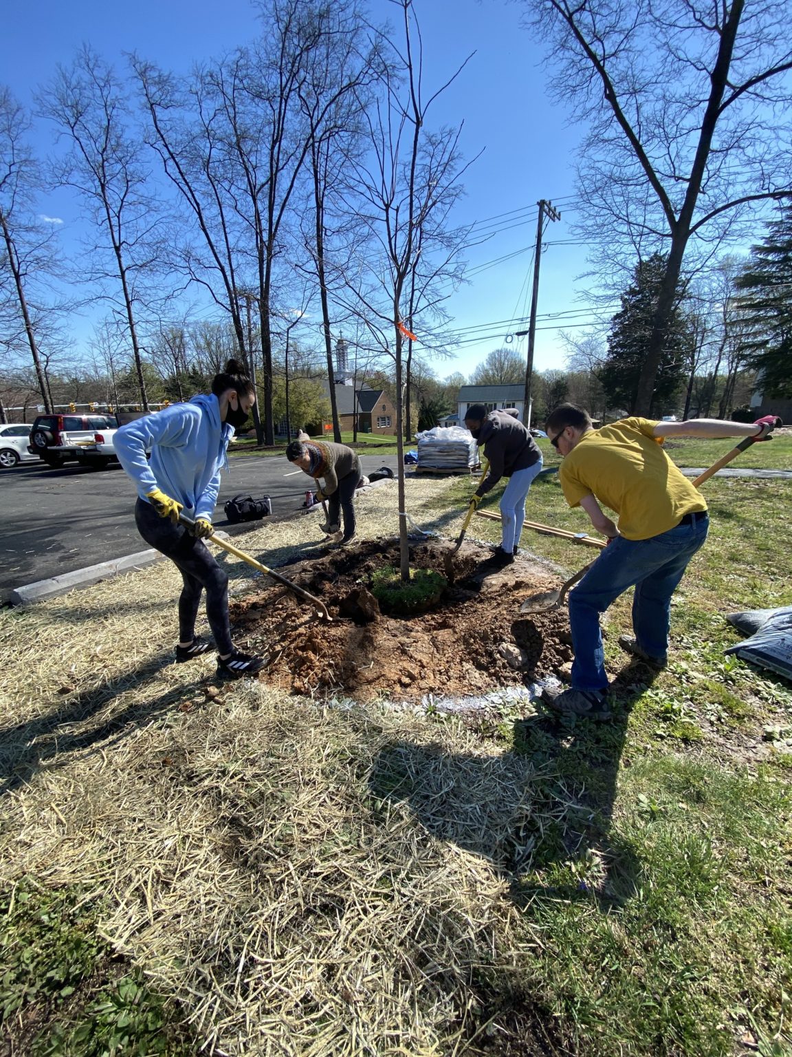 Arboretum Tree Planting – Facilities