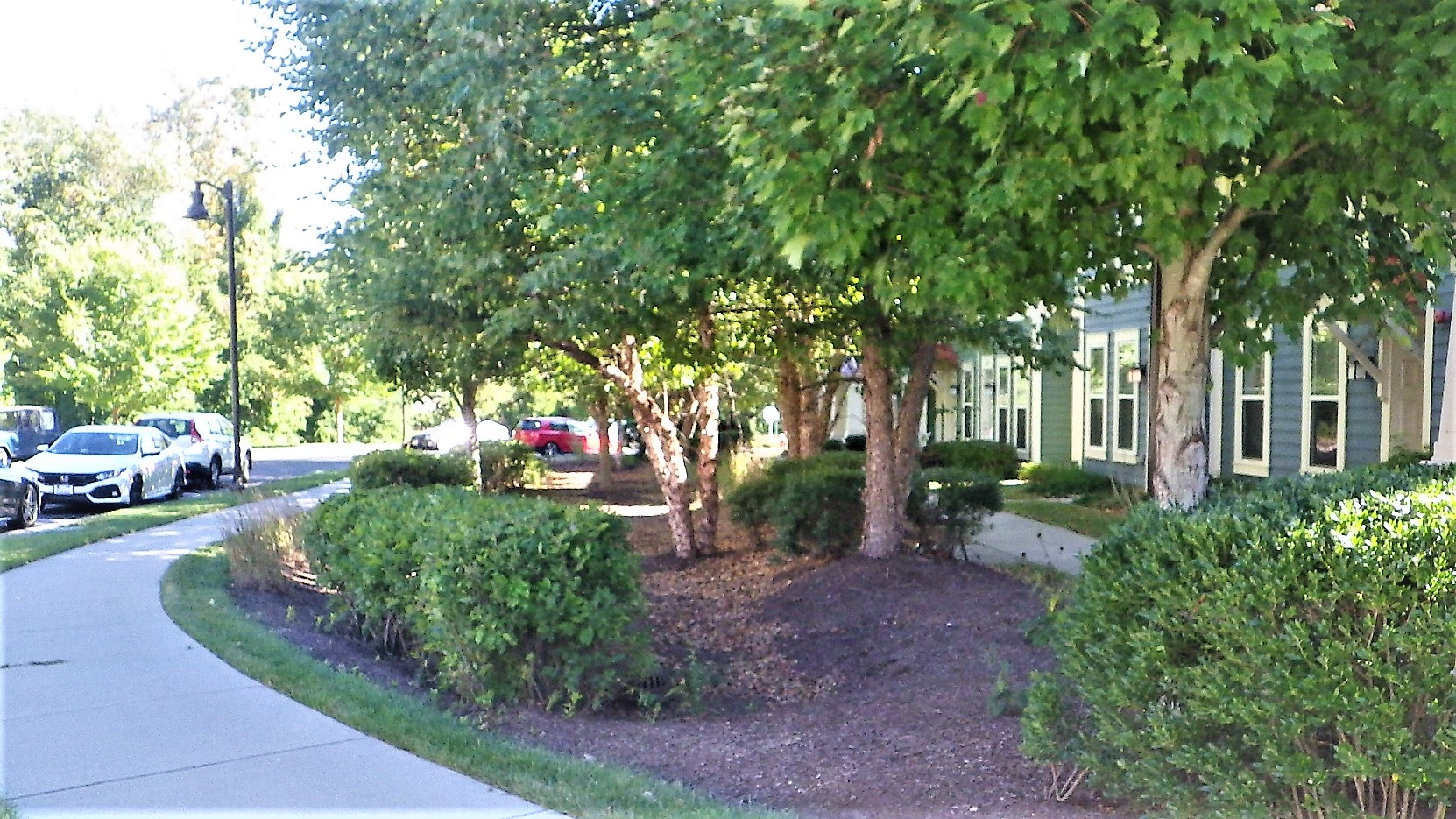 Rain Gardens (Bioretention): – Facilities